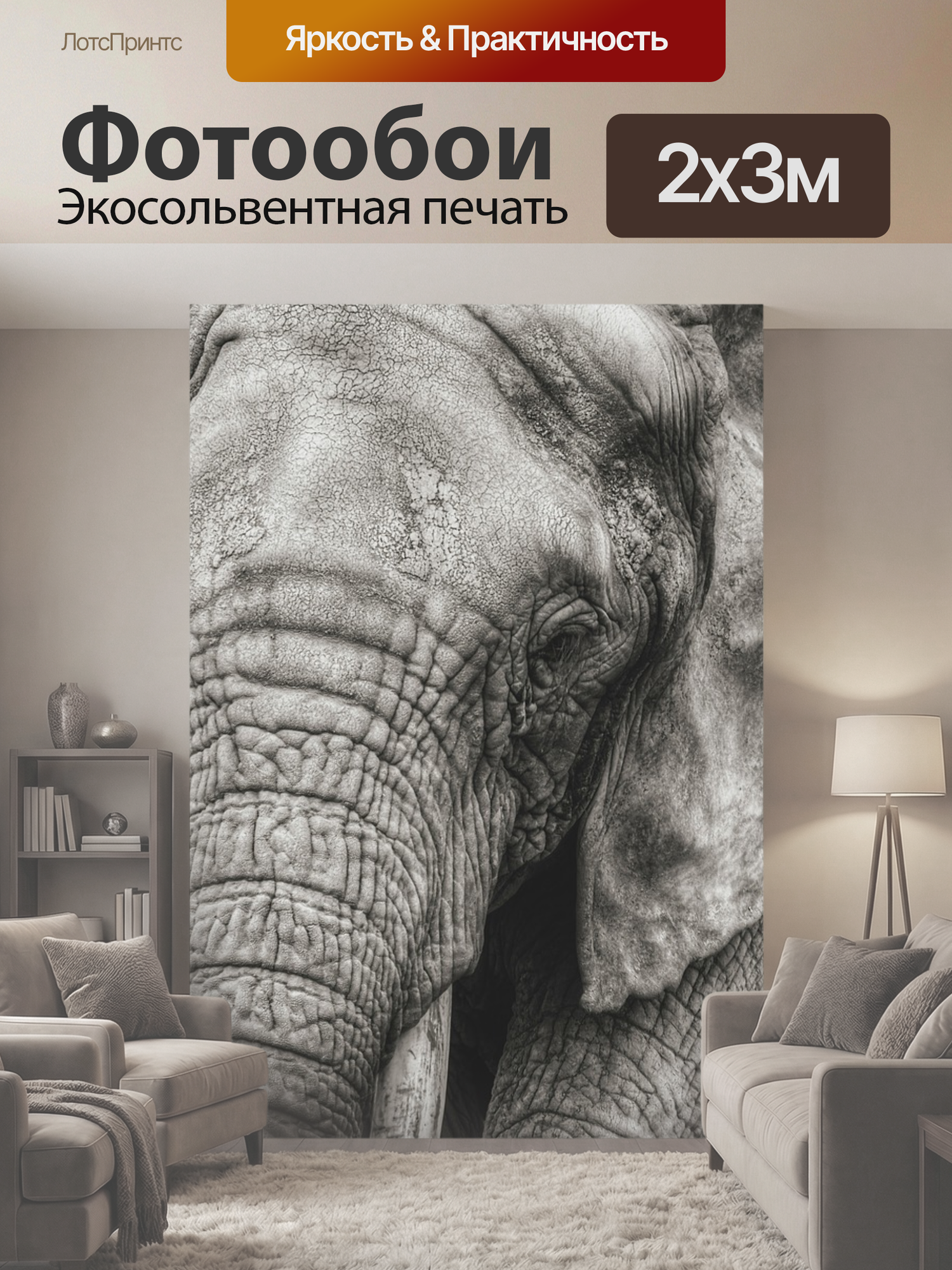 Фотообои "Слон, крупным планом, черный и белый" 200x300 см. экосольвентная печать