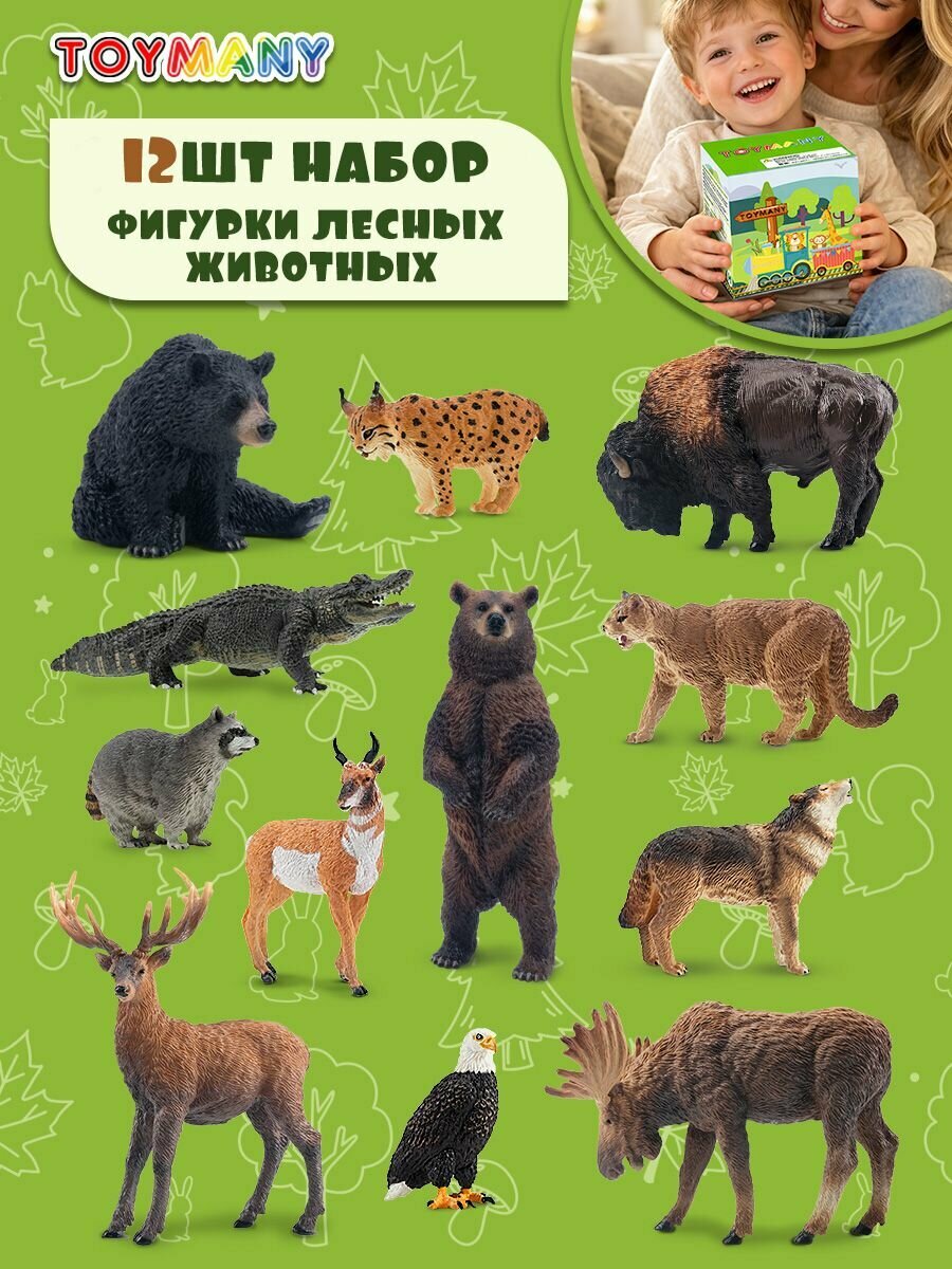 Toymany Набор фигурок животных, 12 шт, Североамериканское лесное животное, подарок для детей