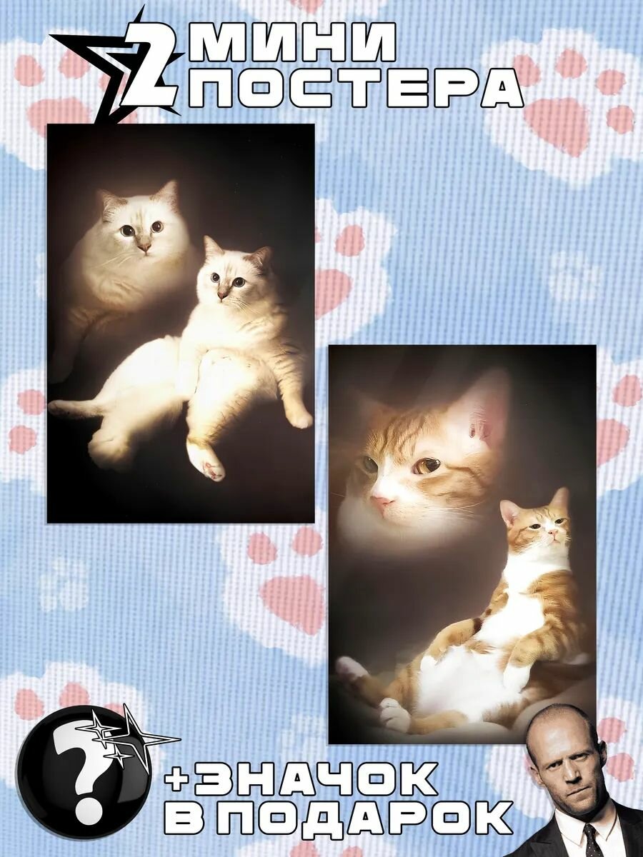 Мини постеры Котики
