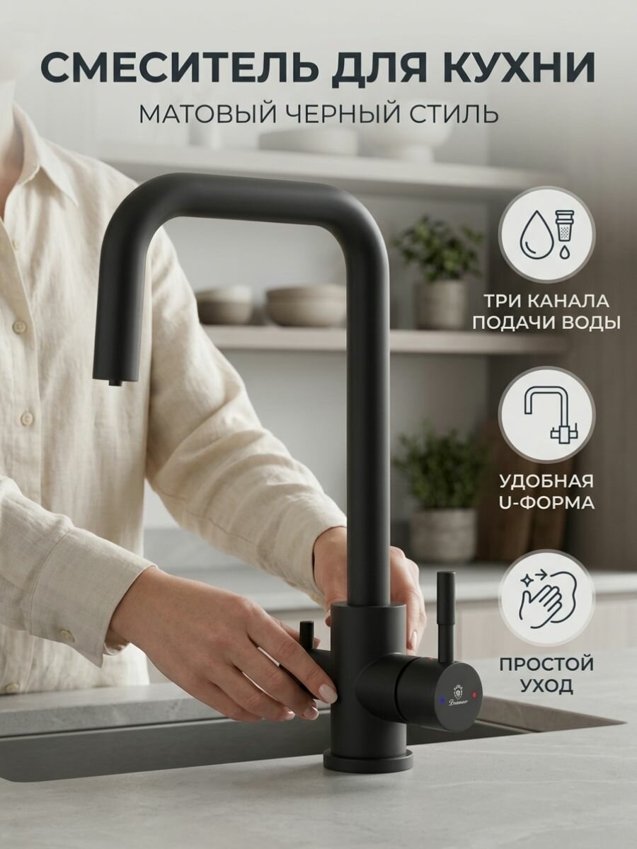 Смеситель для кухни Diadonna D49-19042BL с подключением под фильтр, кран для раковины, черный