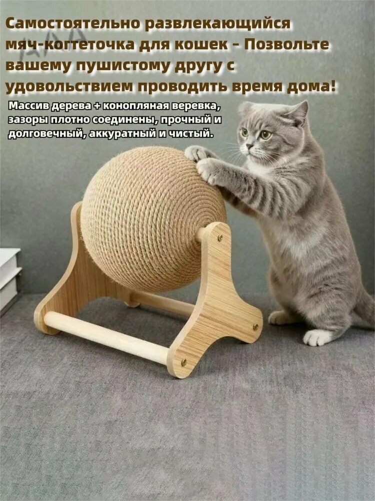 Когтеточка-мяч — фото 1