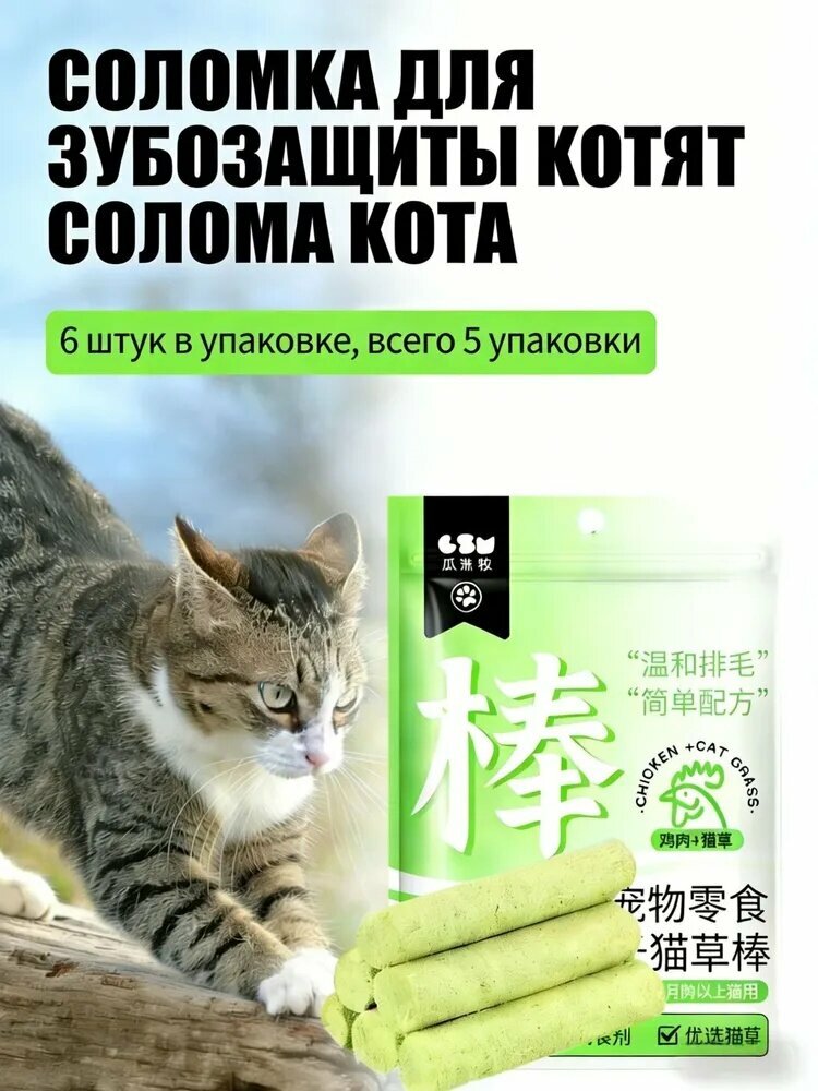 Кошачья травяная палочка, Используется для чистый зубы 6 палочек/бутылка