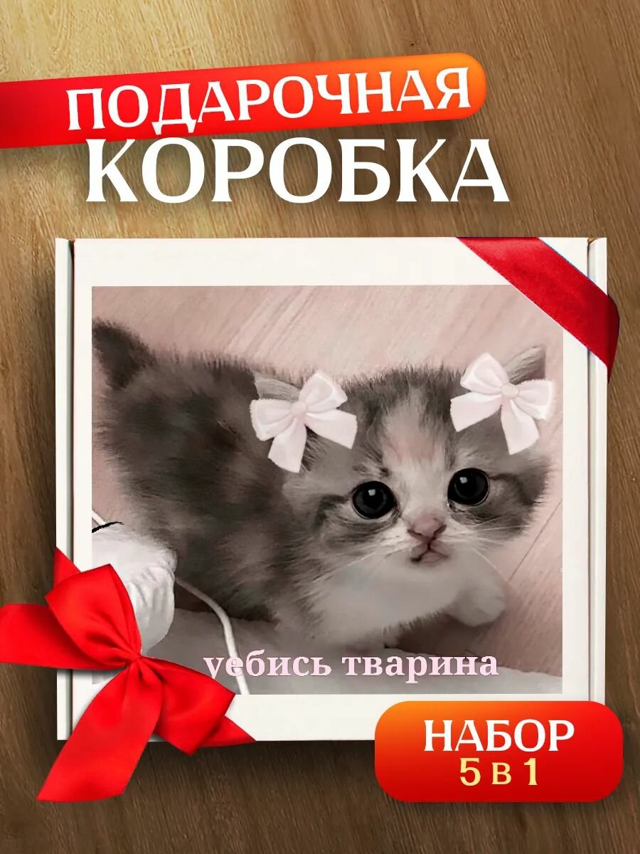 Подарочная коробка мем котики , упаковка для подарка, 1шт, размер 23,5x22,5х10 см