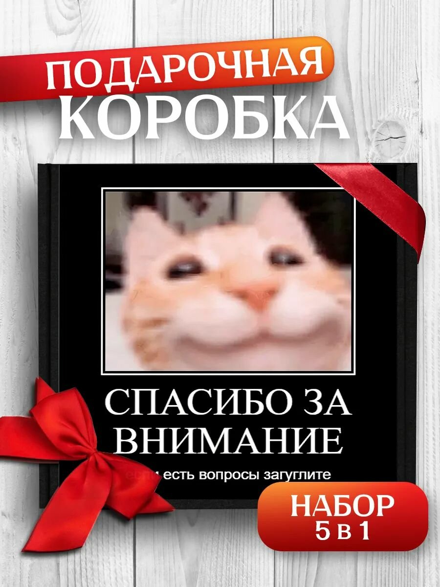 Подарочная коробка мем котики , упаковка для подарка, 1шт, размер 23,5x22,5х10 см