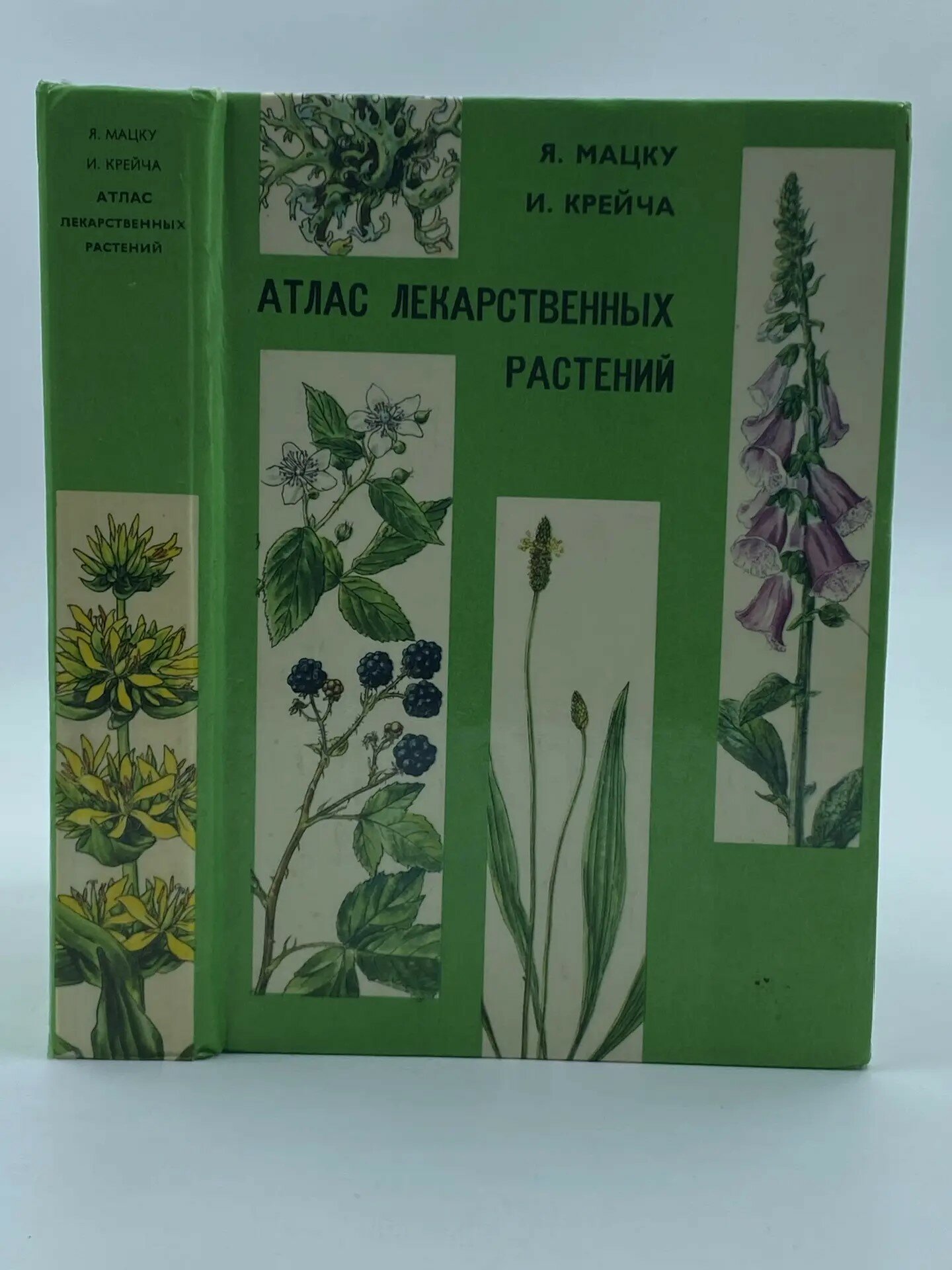 Атлас лекарственных растений (1970 год)