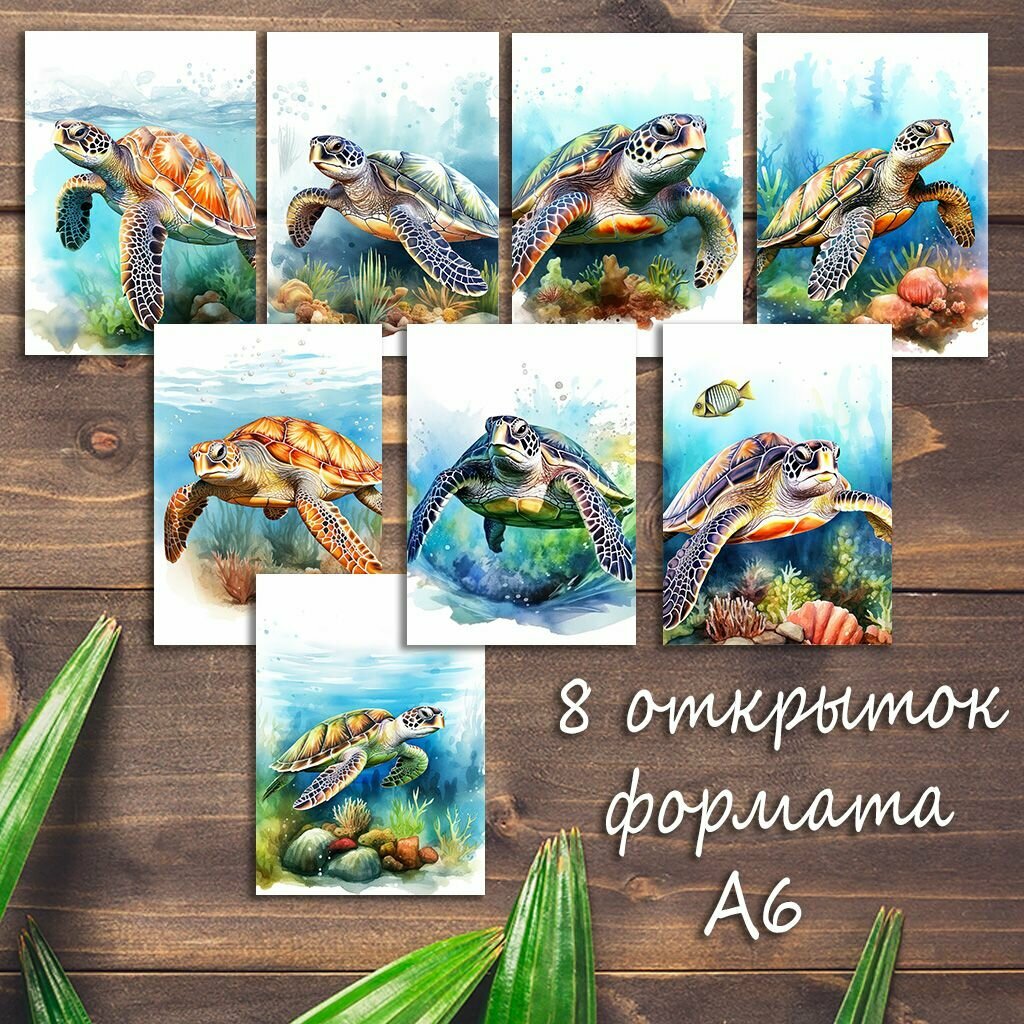 Большой набор открыток Морская черепашка, 8 штук