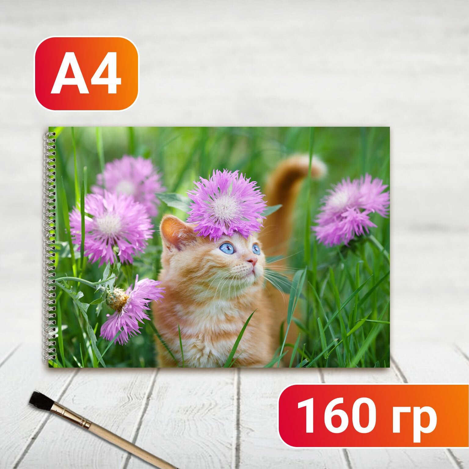 Альбом для рисования Котик