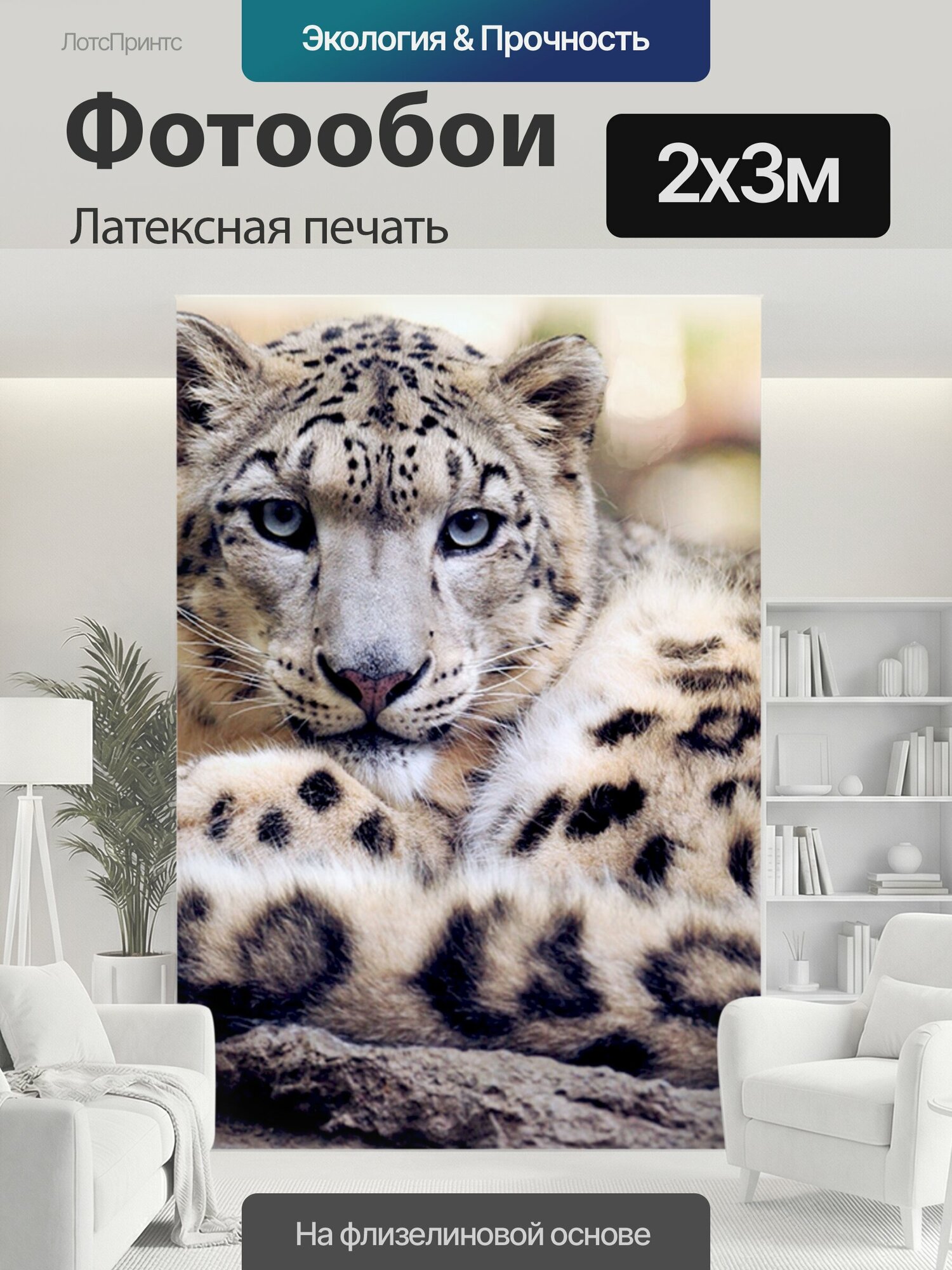 Фотообои моющиеся ударопрочные "Снежный барс Снежный барс возлежа и позирует для портрета снежный барс полулежа глядишь общественное достояние." 200x300 см. латексная печать