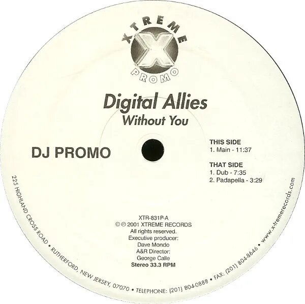 Digital Allies Featuring Richard Luzzi - Without You (рисунки на яблоке) EX-