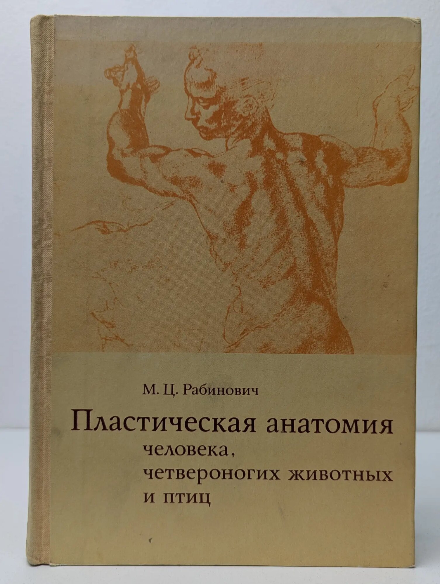 Пластическая анатомия человека, четвероногих животных и птиц и ее применение в рисунке Рабинович Михаил Цезаревич 1978