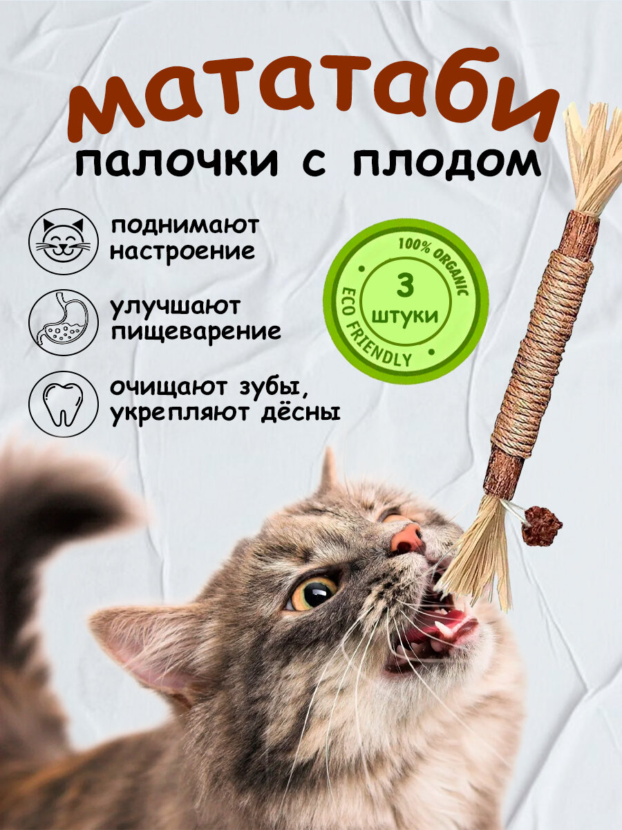 Палочки мататаби для кошек с плодом мататаби и с кошачьей мятой, игрушка-лакомство для котят, 3 шт набор 3 штуки игрушка-лакомство