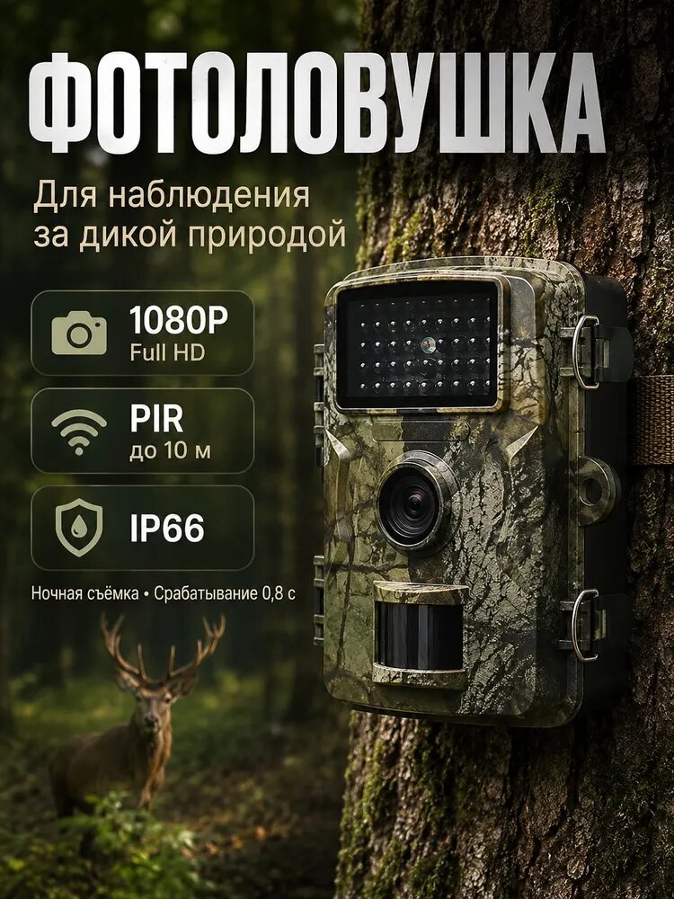 Фотоловушка — фото 1