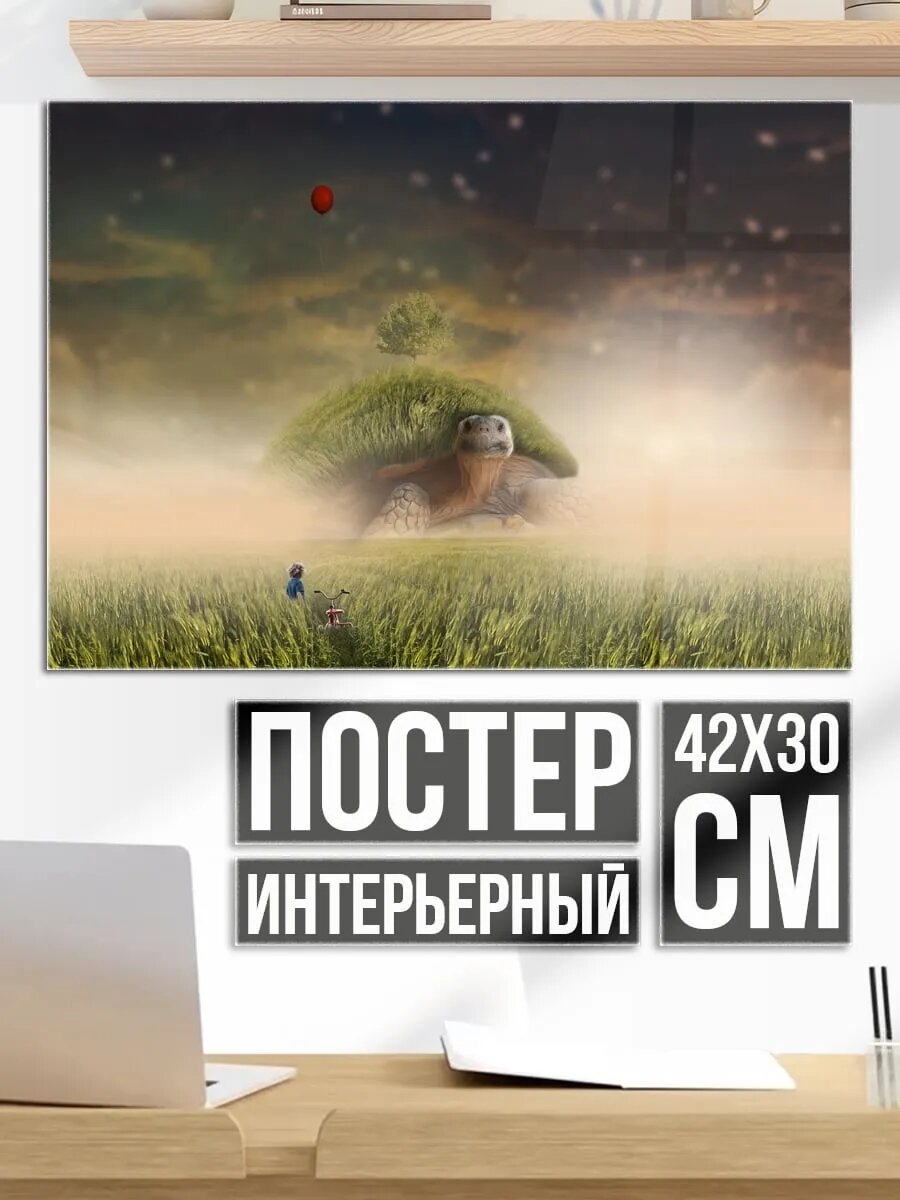 Плакат постер Черепаха с домиком