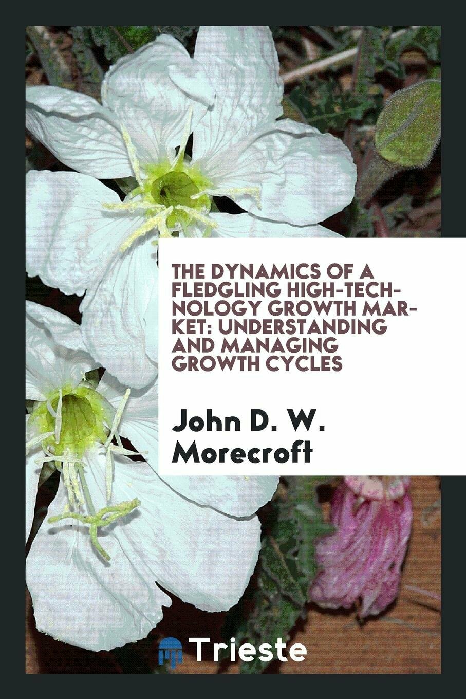 The dynamics of a fledgling high-technology growth market. understanding and managing growth cycles