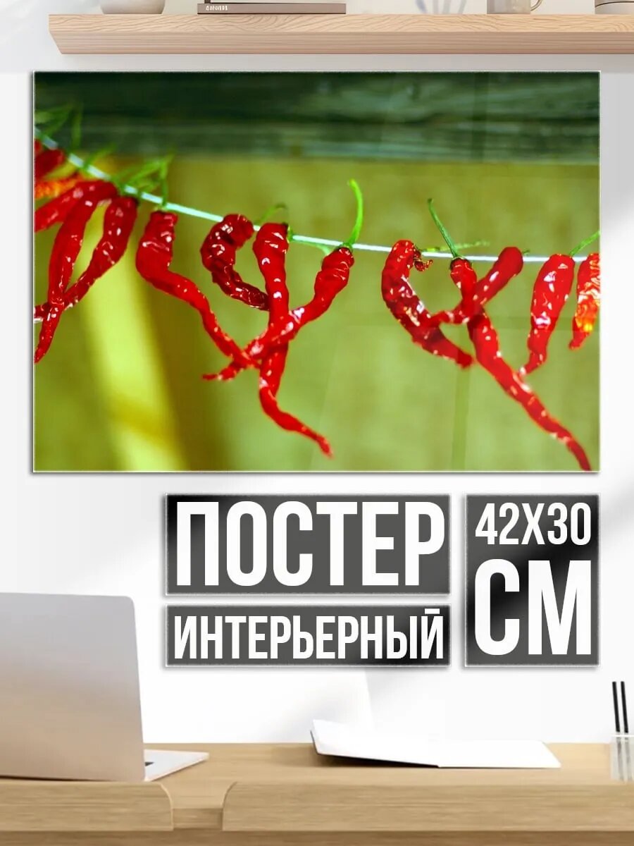 Плакат постер Сушеные красные перцы