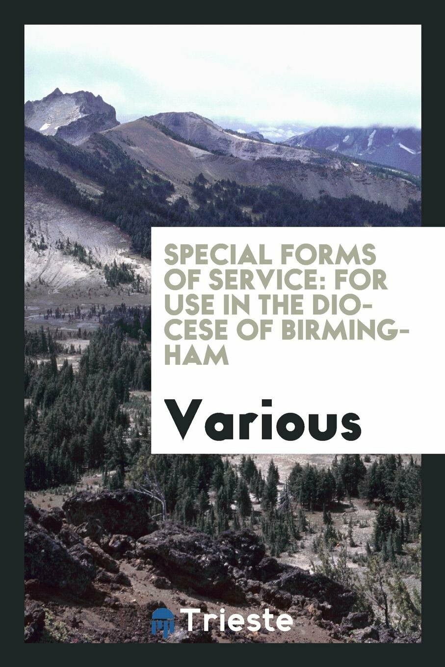 Special forms of service. for use in the Diocese of Birmingham