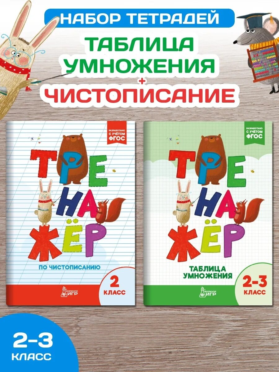 Набор тетрадей формула ИГР "Чистописание и Таблица умножения", 2 кл, 64 стр, мягкий переплет
