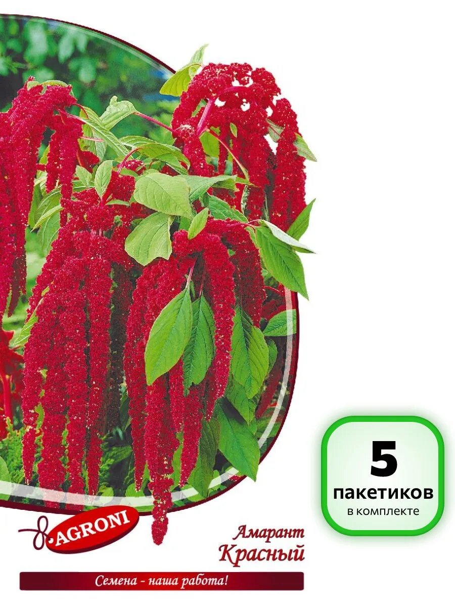 (5 шт.) - Семена Амарант красный (0,1г)