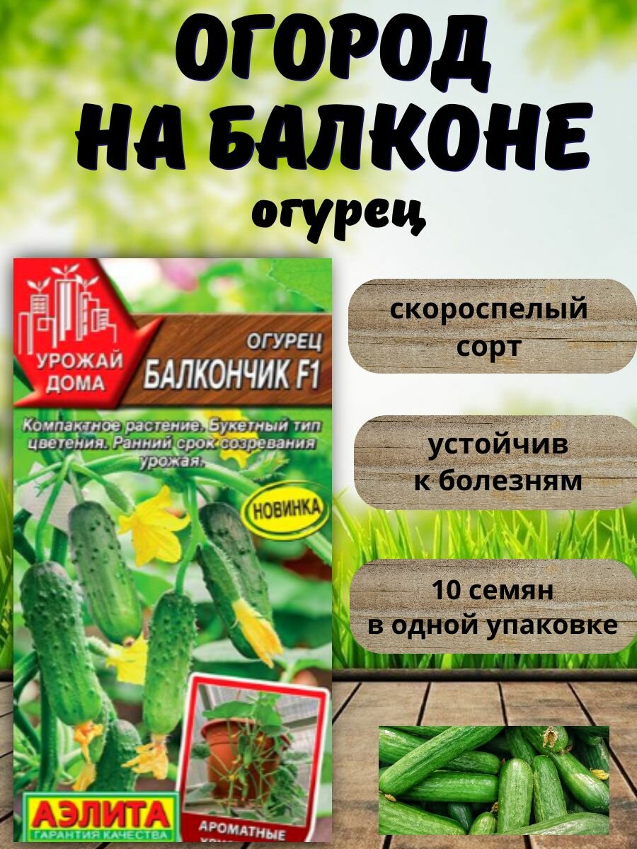 Семена огурцов самоопыляемые, Огурец Балкончик, для подоконника и балкона, семена огурцов огурец самоопыляемый для подоконника