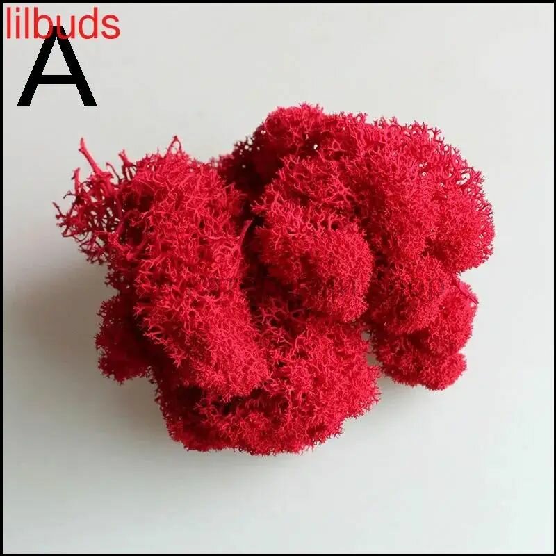 LilBuds Стабилизированный мох Мох, 10 гр