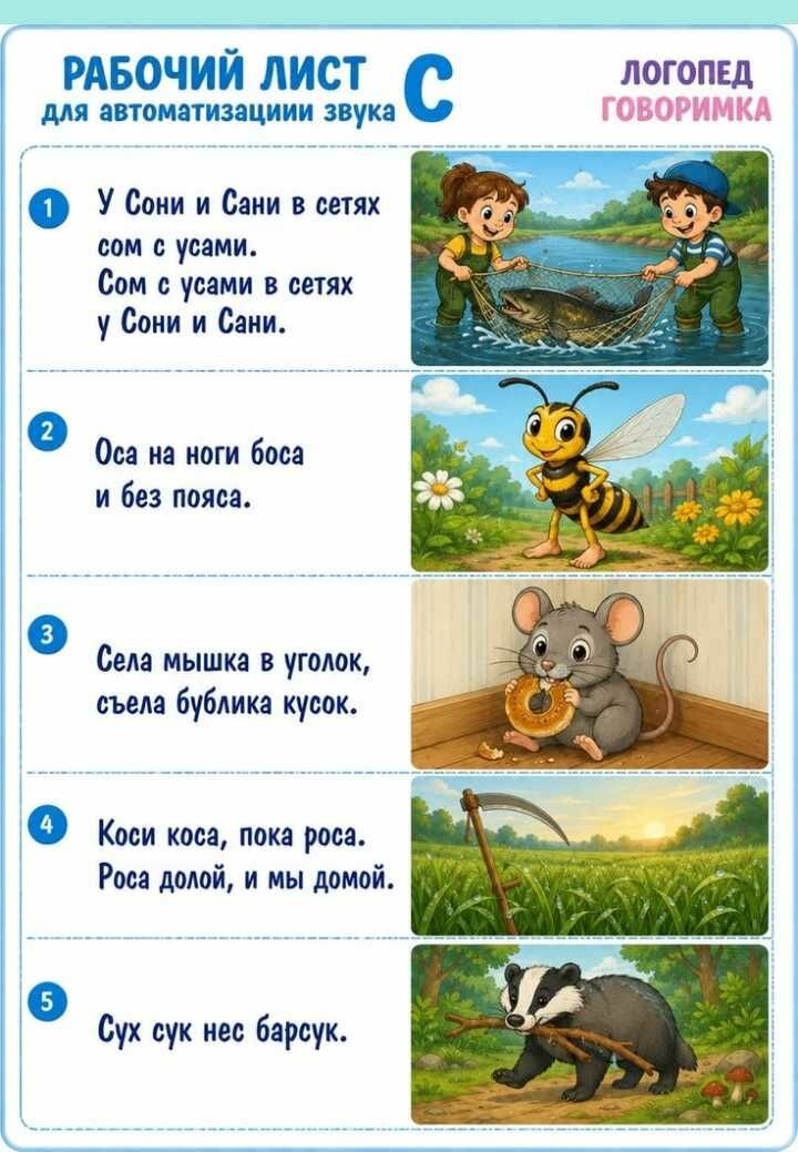 Лэпбук "звук С" — фото 1