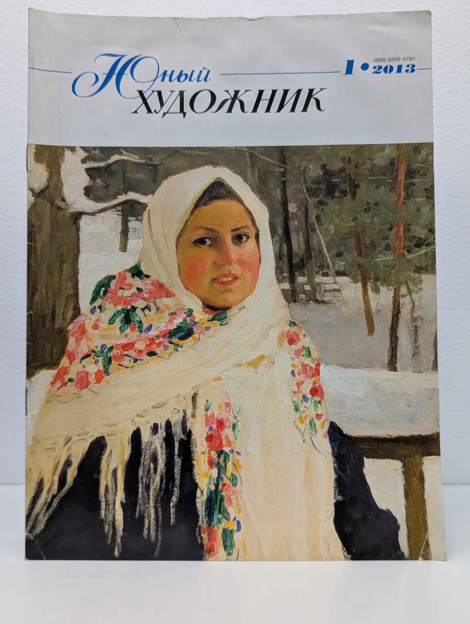Юный художник. Выпуск № 1/2013 Сборник 2013
