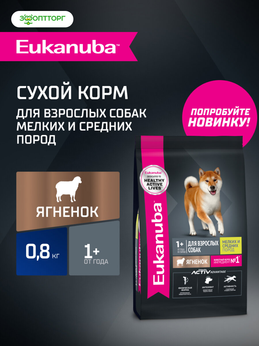 Сухой корм Eukanuba Dog для взрослых собак мелких и средних пород с ягненком, 800 г.