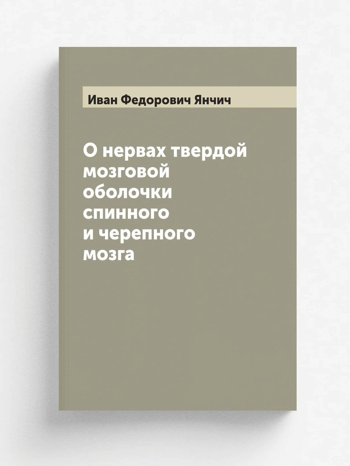 О нервах твердой мозговой оболочки спинного и черепного мозга