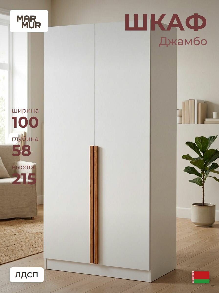 Шкаф распашной, Джамбо, 100x58x215 см, ЛДСП, белый, для одежды, в спальню и прихожую, Dipriz