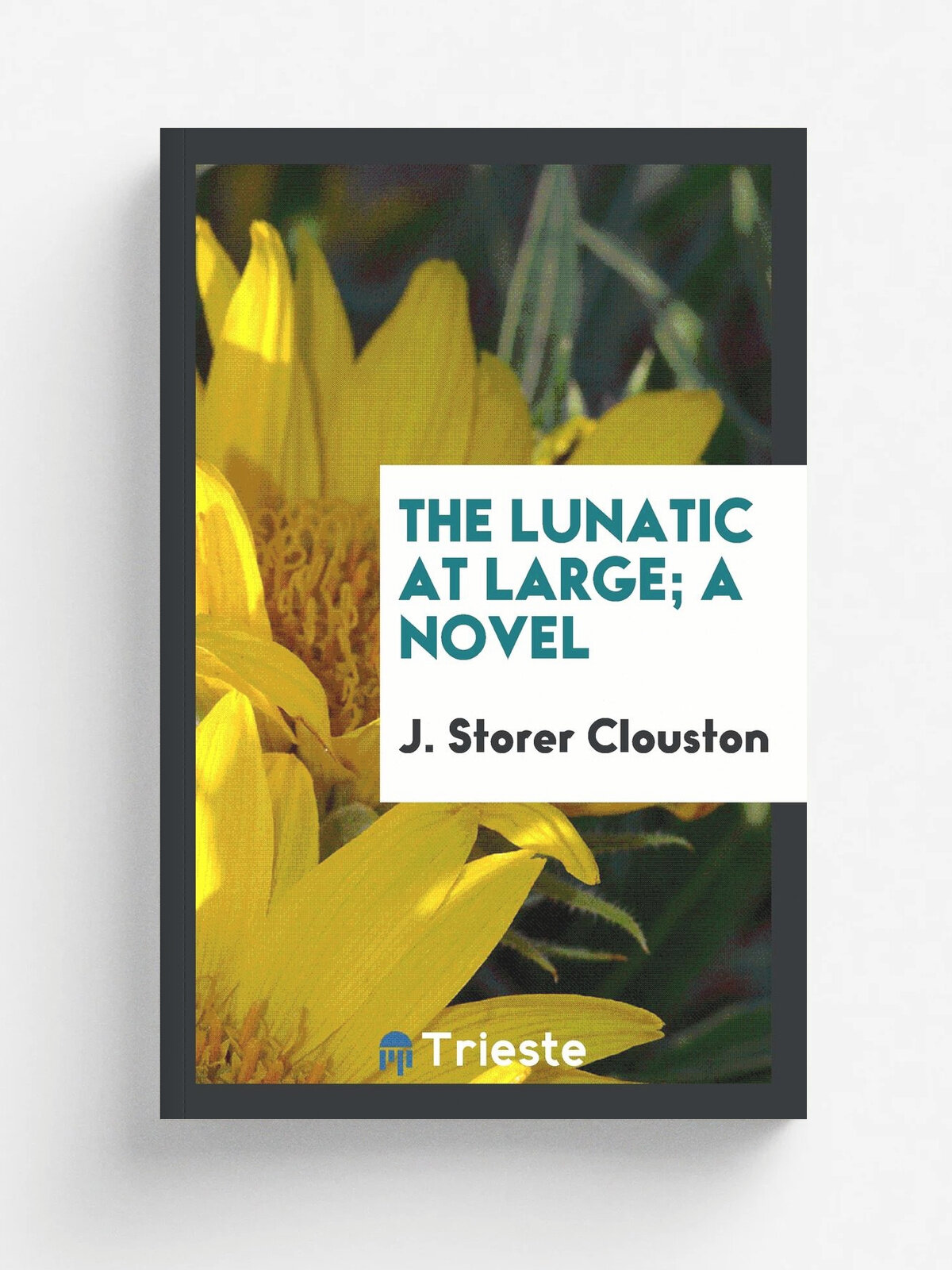 The lunatic at large; a novel