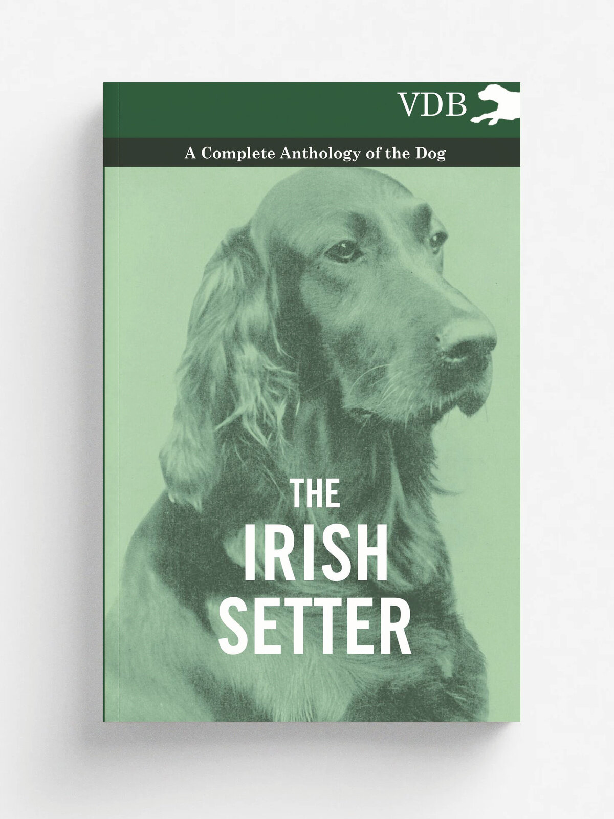 The Irish Setter - A Complete Anthology of the Dog