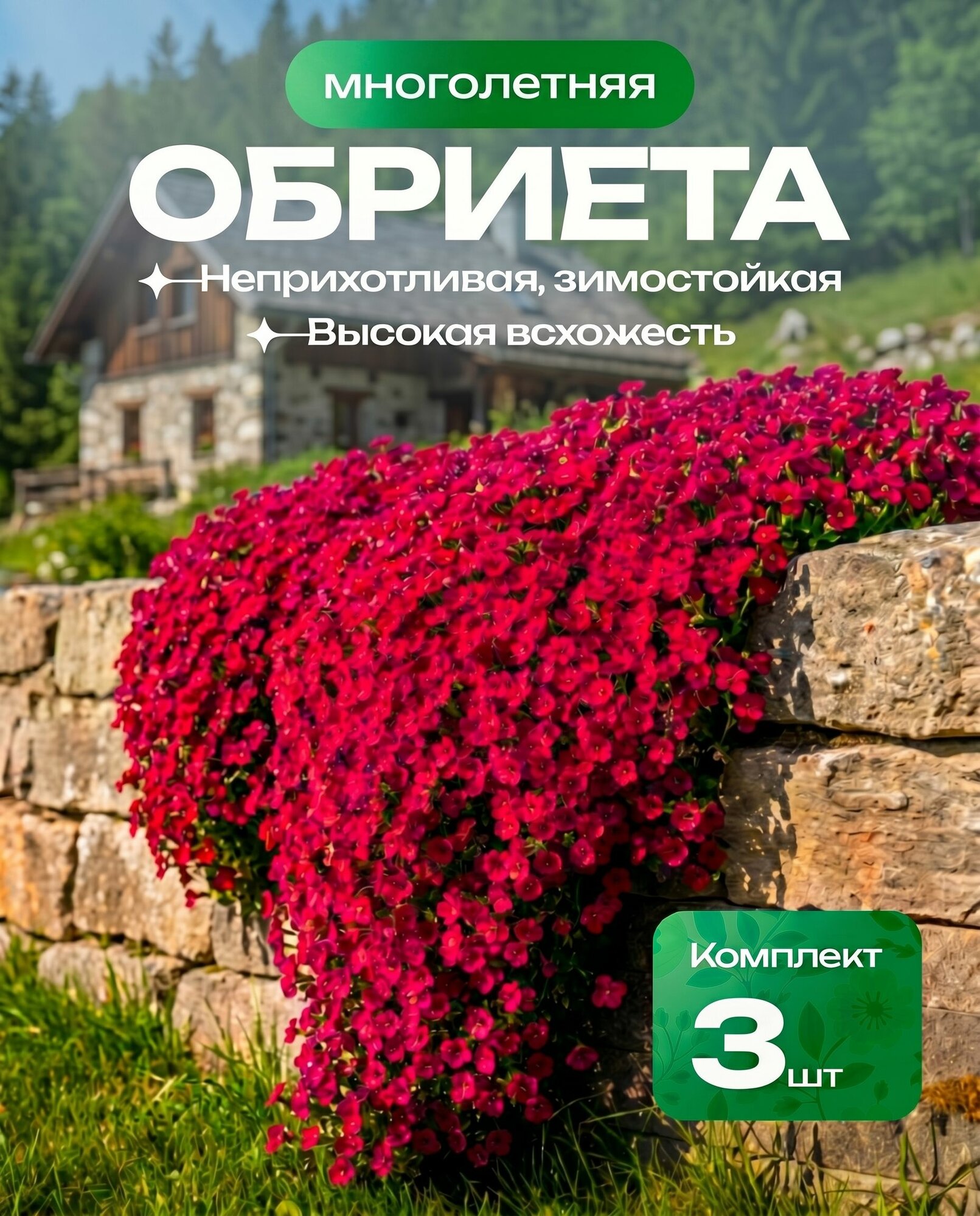 Аэлита Семена ,3шт для посадки в упаковке