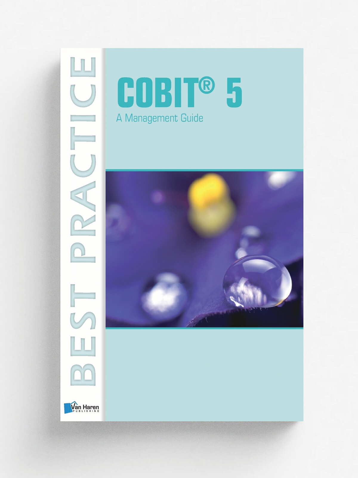 Cobit. 5 | Pierre Bernard | Van Haren Publishing, 2012 | Английский язык