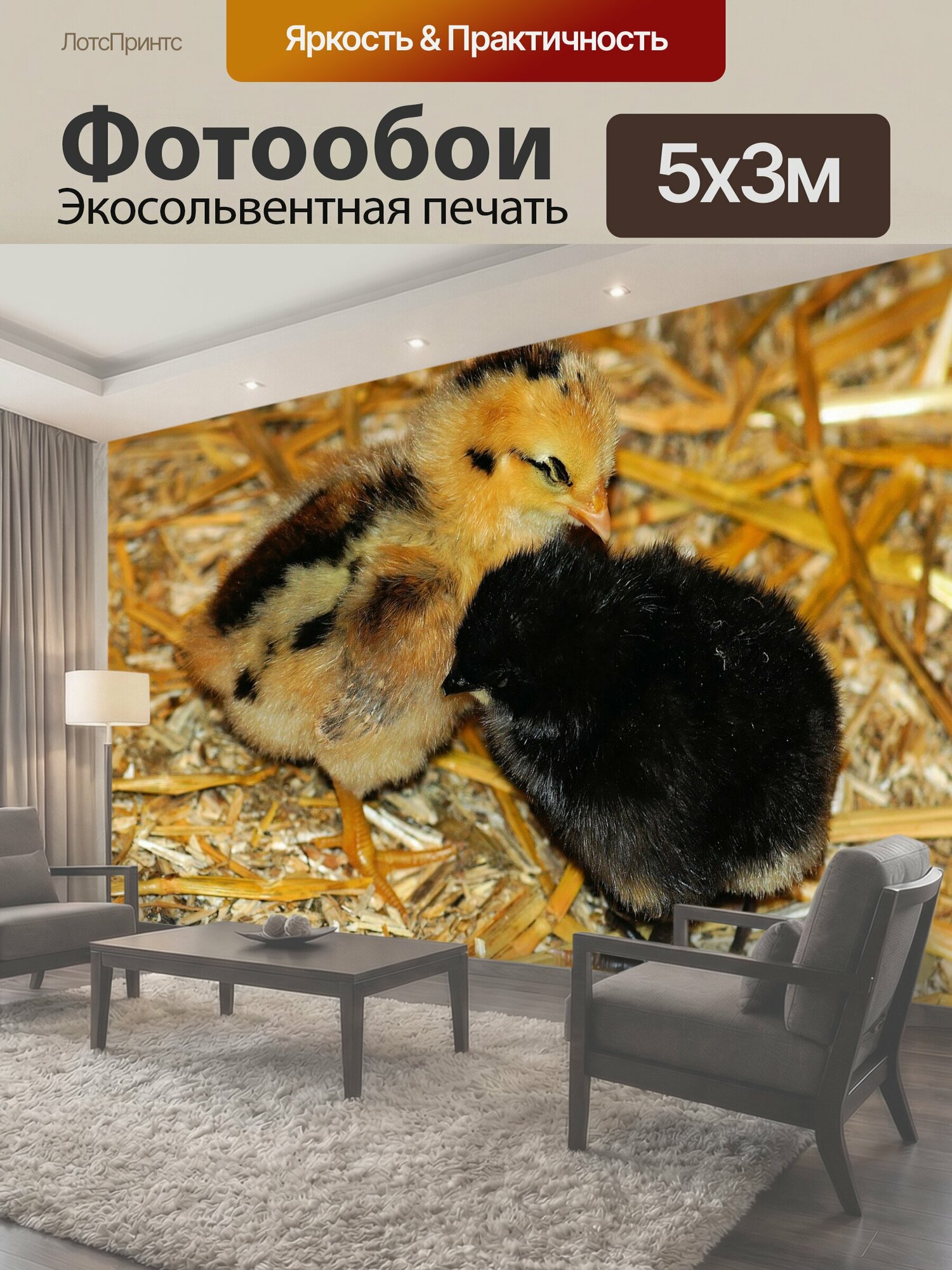 Фотообои "Курица, цыпленок, пушистый" 500x300 см. экосольвентная печать