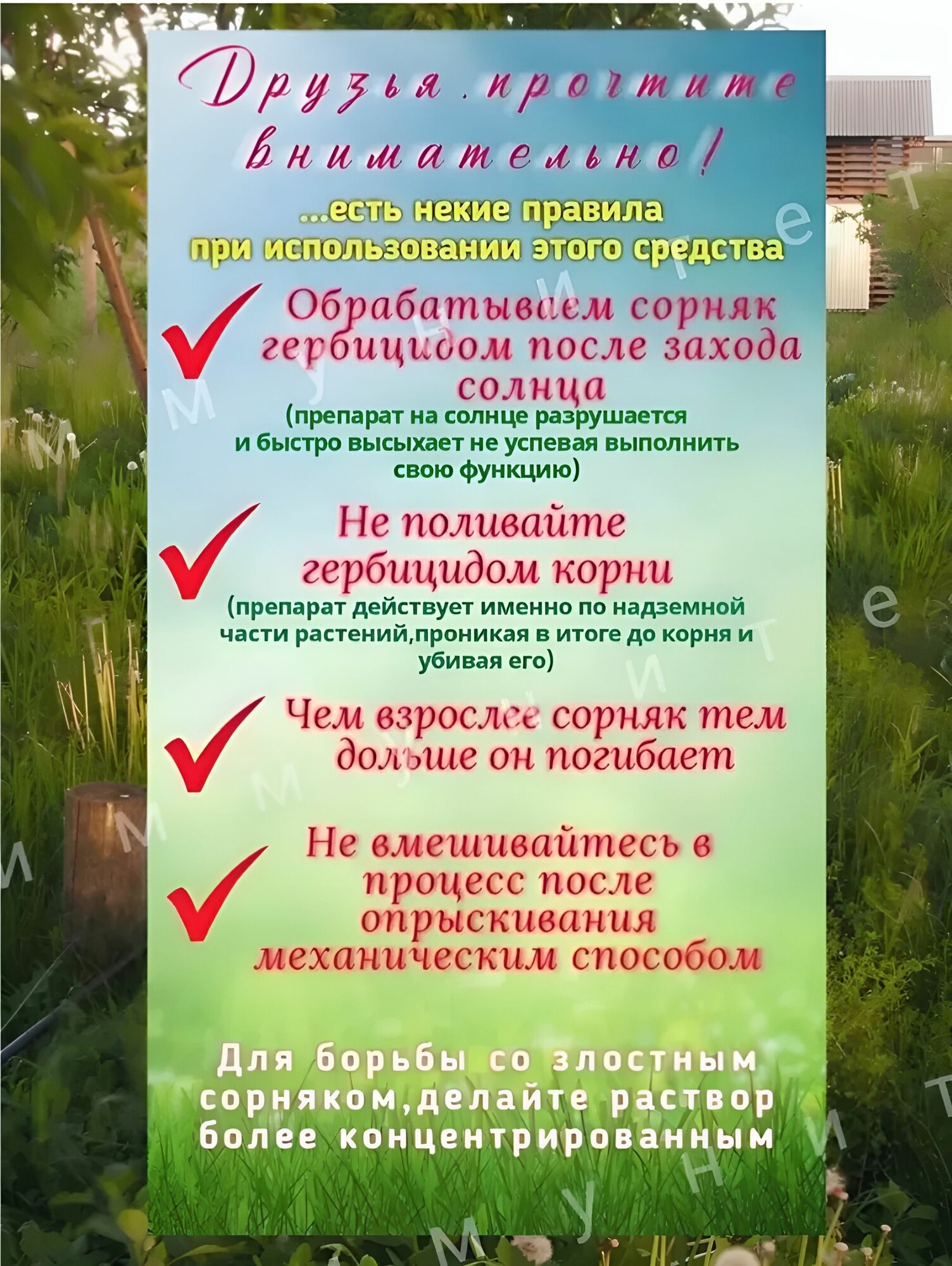Средство от сорняков — фото 1