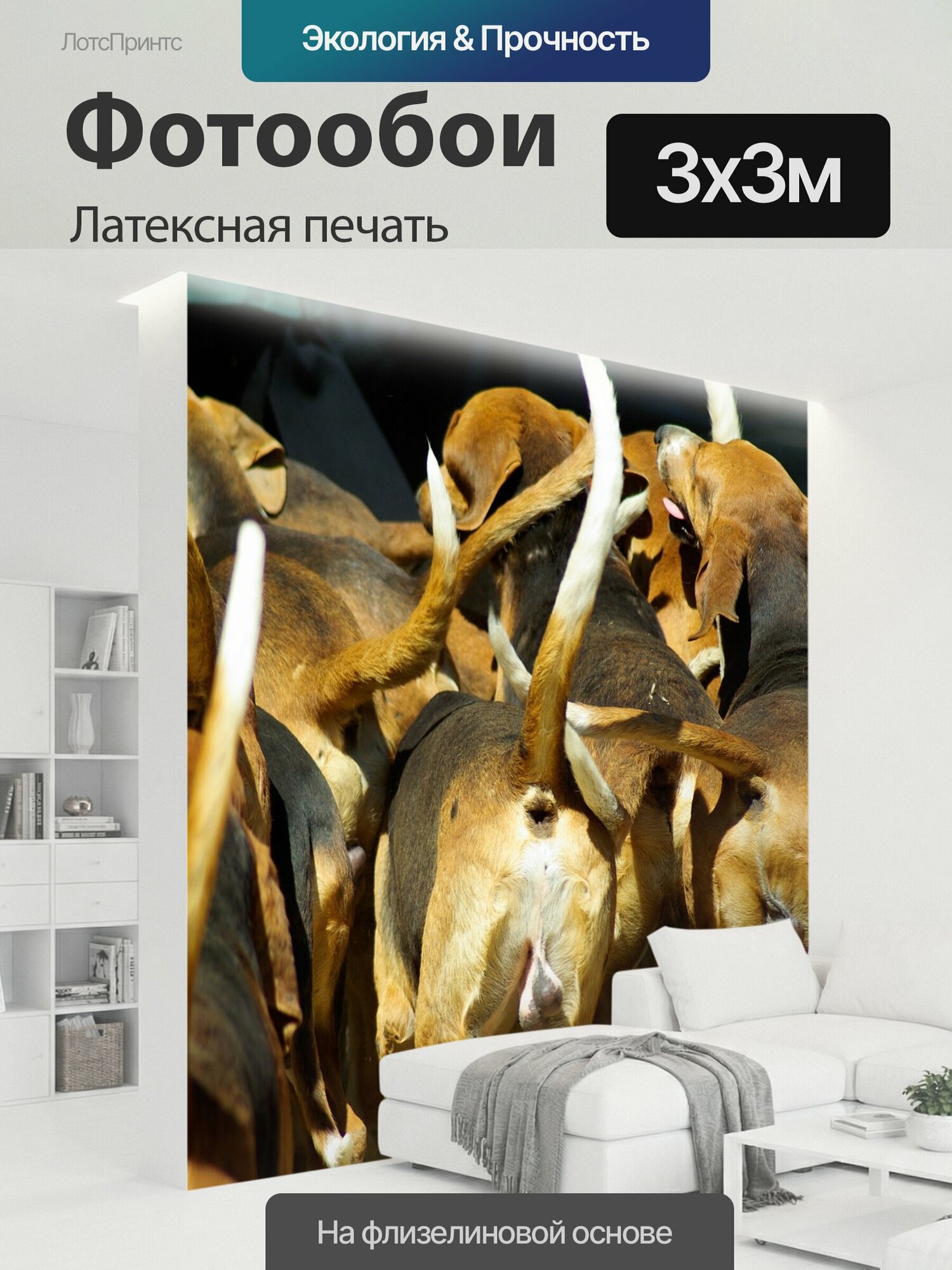 Фотообои моющиеся ударопрочные "Охота с гончими, охотничья собака, пакет" 300x300 см. латексная печать
