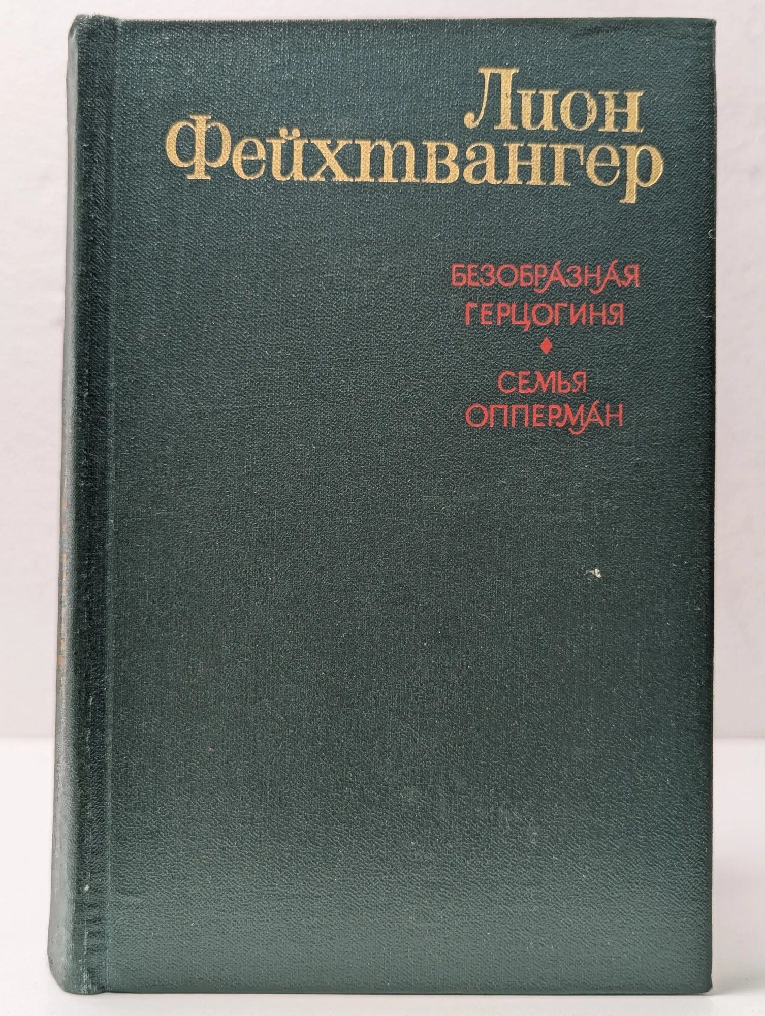 Безобразная герцогиня. Семья Опперман Фейхтвангер Лион 1982