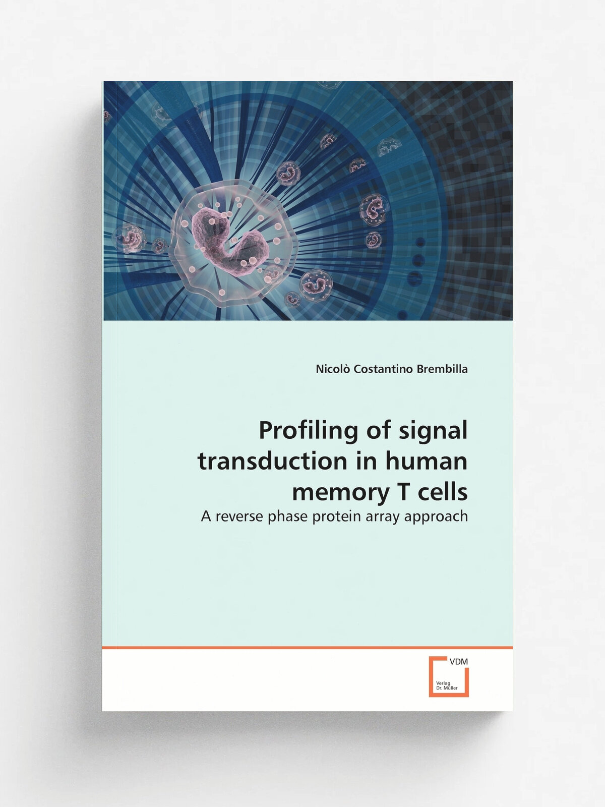 Profiling of signal transduction in human memory T cells