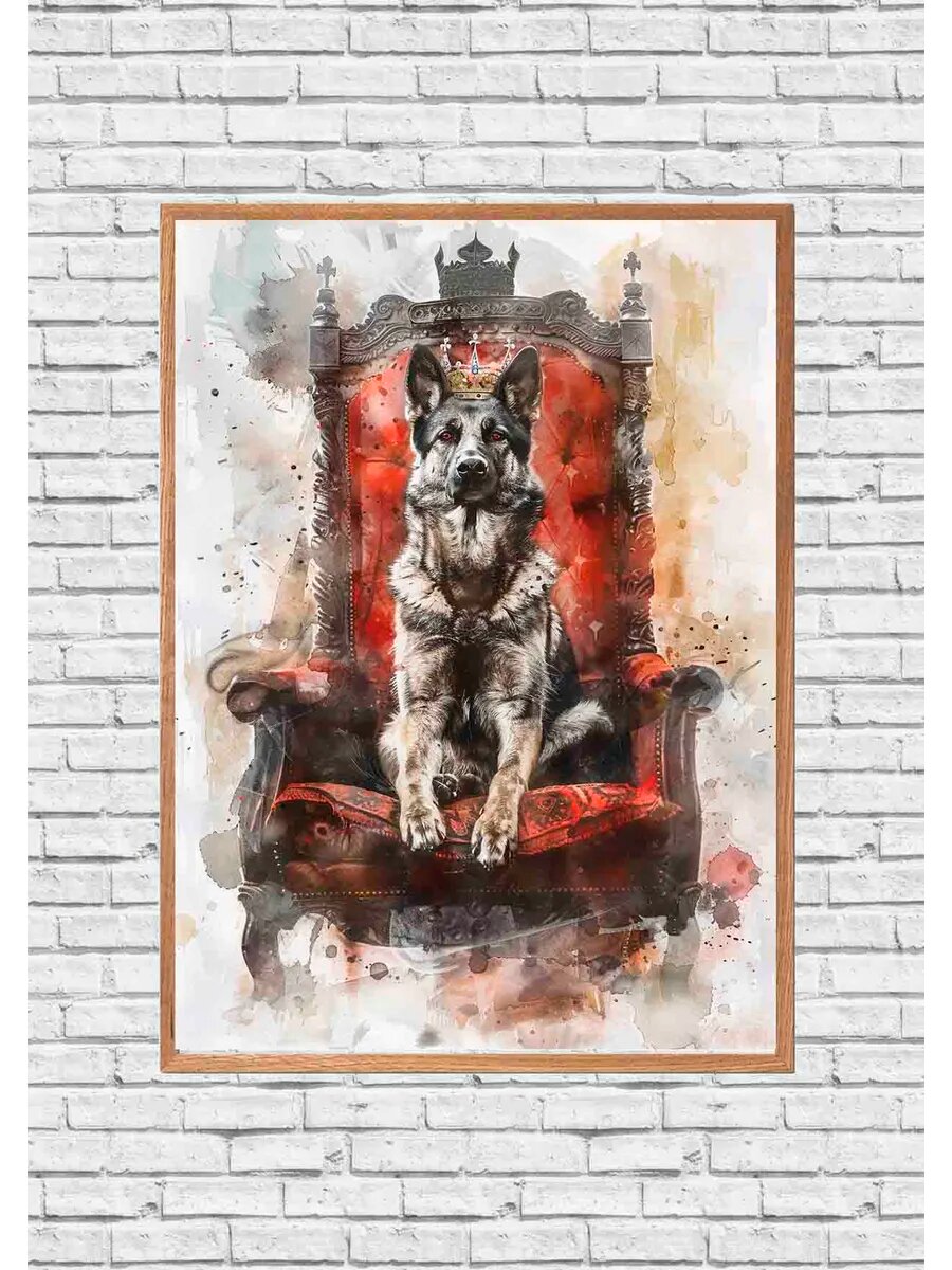 Норвежский элкхаунд, Английский король 1, Плакат 30x42см