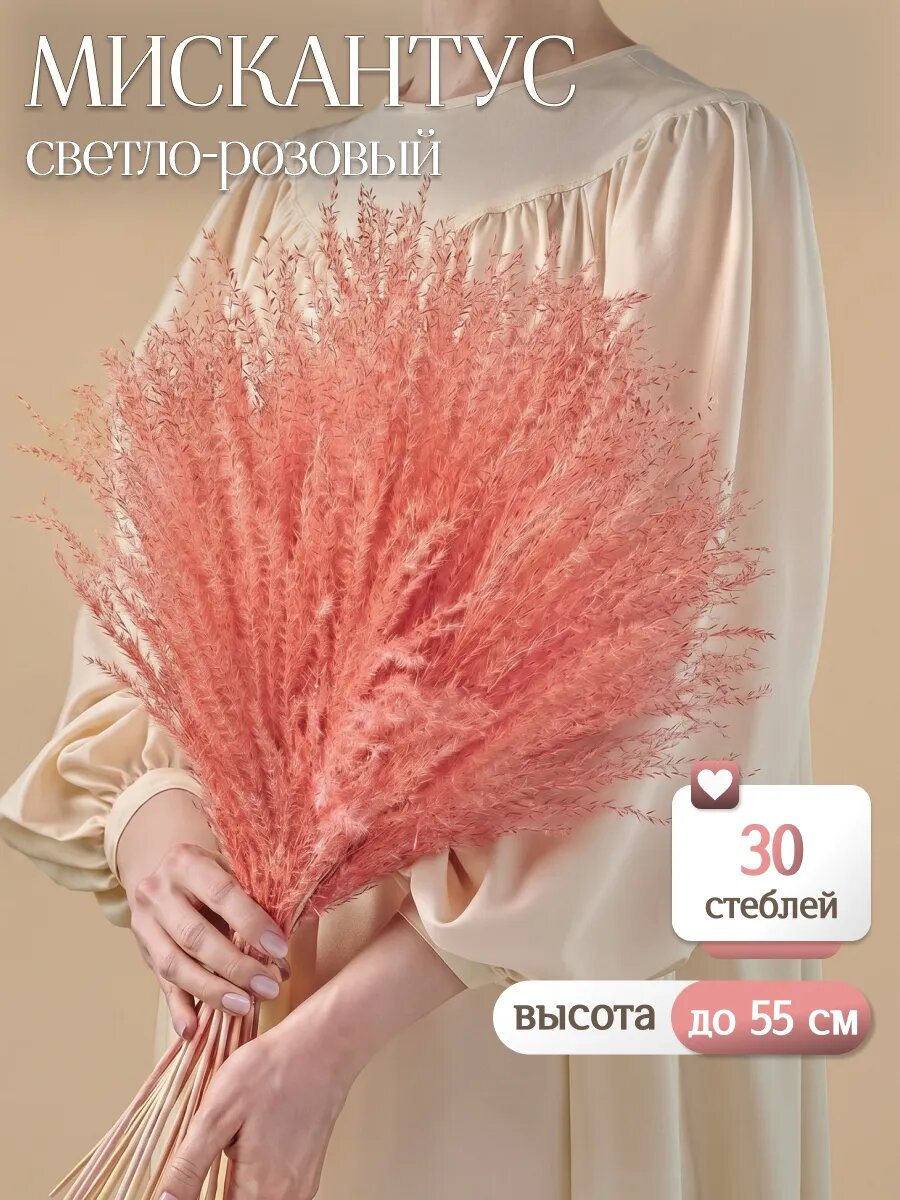 Мискантус светло - розовый 30 шт, розовые сухоцветы для декора до 55 см, elka.bio