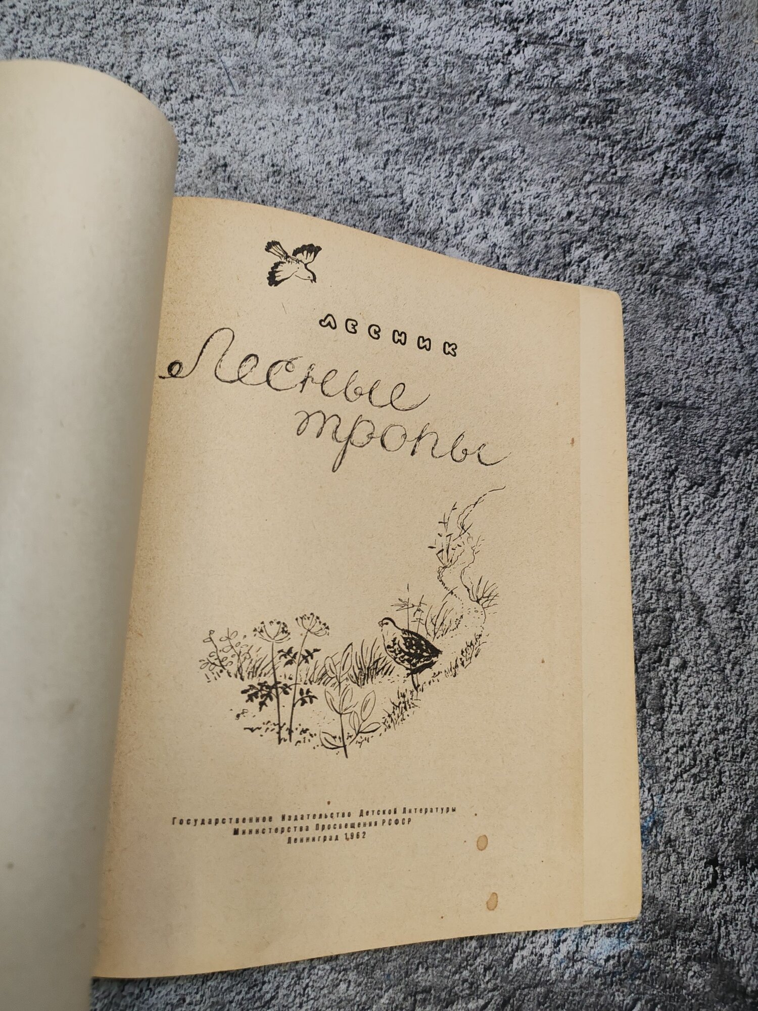 Лесные тропы (1962 г.) — фото 1