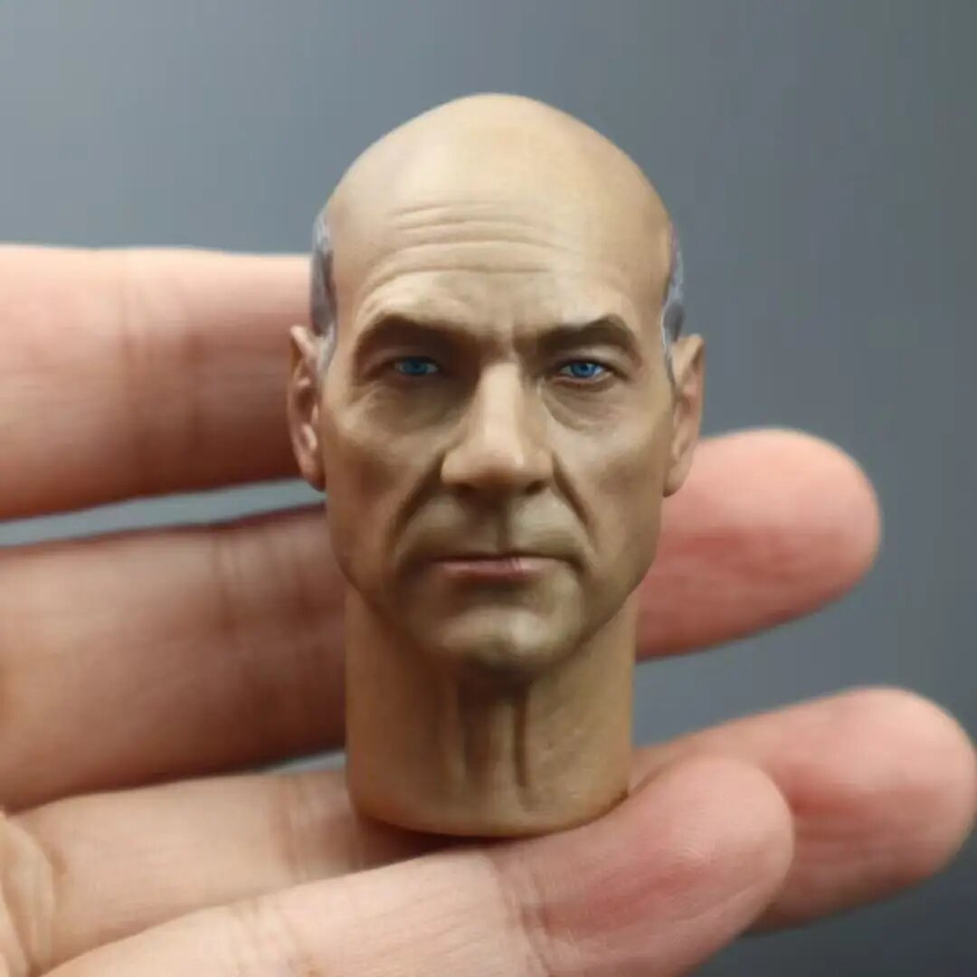 Голова Professor X Charles Xavier 1/6, Painted