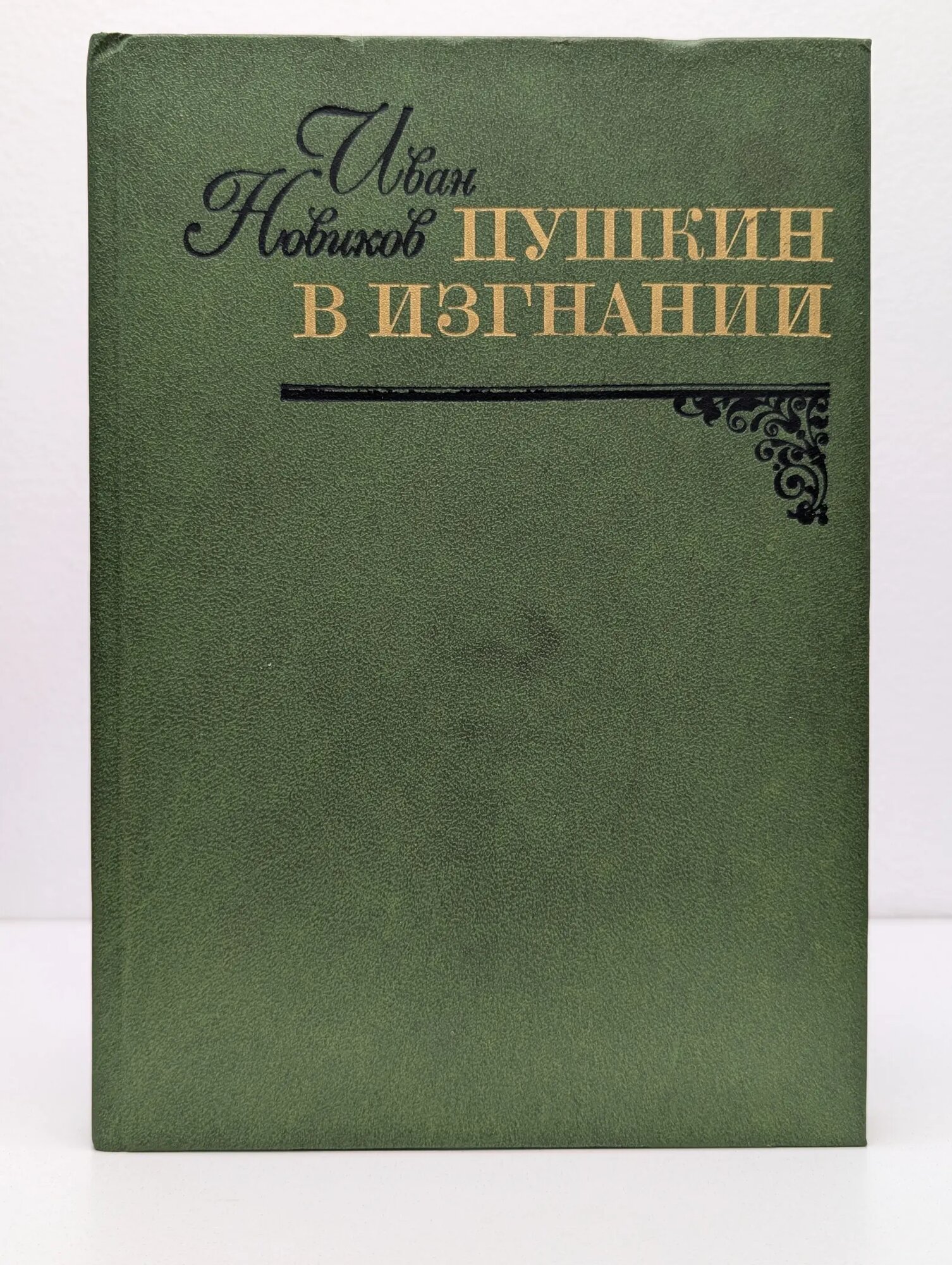 Пушкин в изгнании Новиков Иван Алексеевич 1982