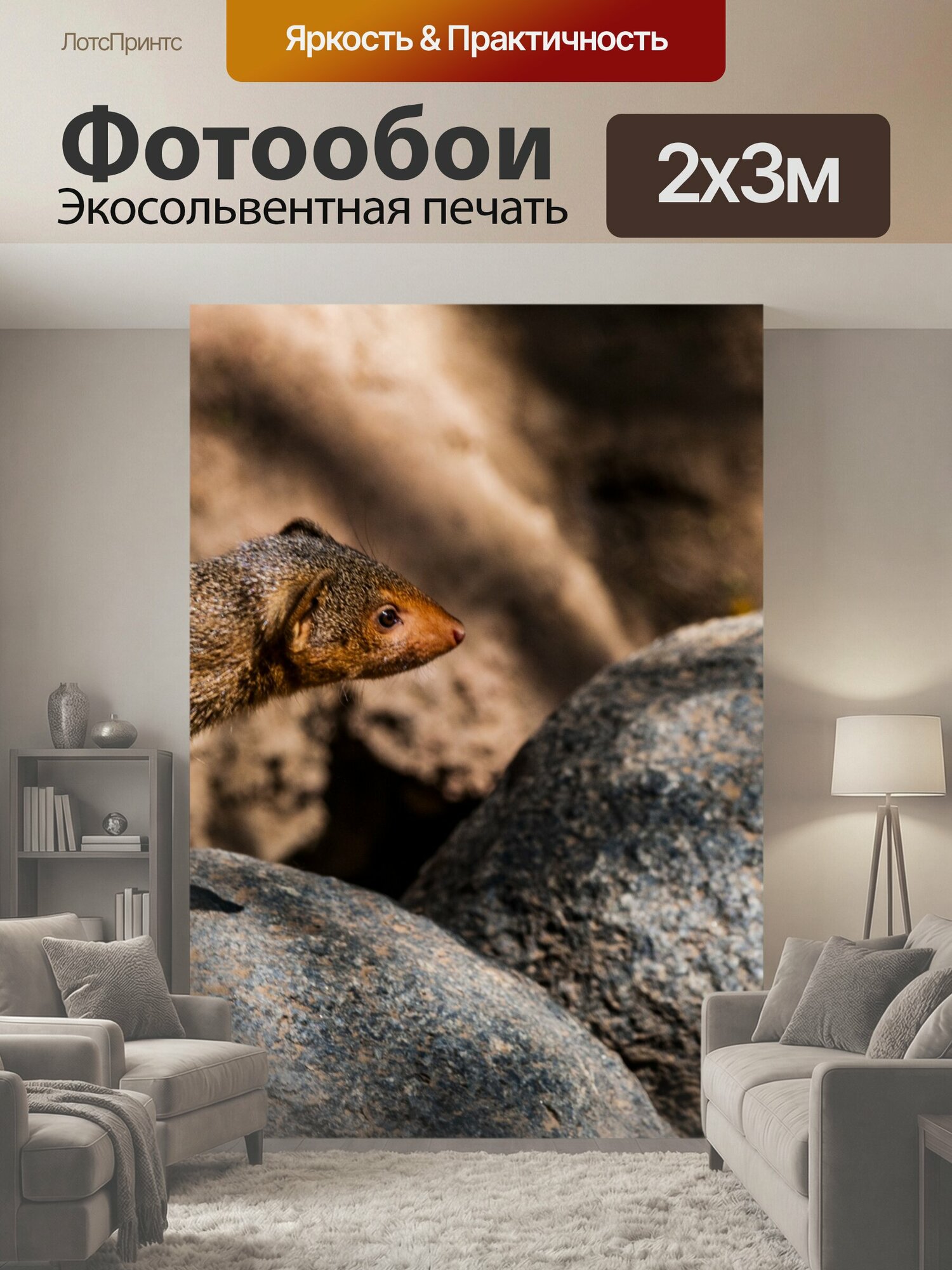 Фотообои "Гном-мангуст милый карликовый мангуст, стоящий на скале мангуст карликовый мангуст плотоядное животное африка животное дикая жизнь." 200x300 см. экосольвентная печать