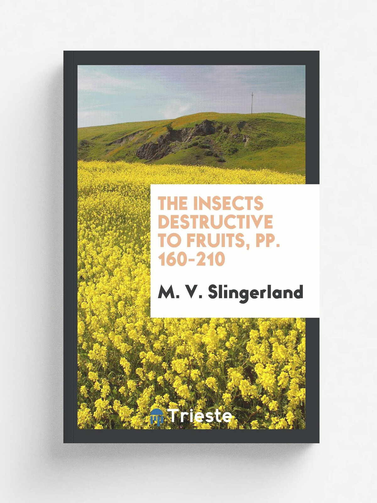 The Insects Destructive to Fruits, pp. 160-210