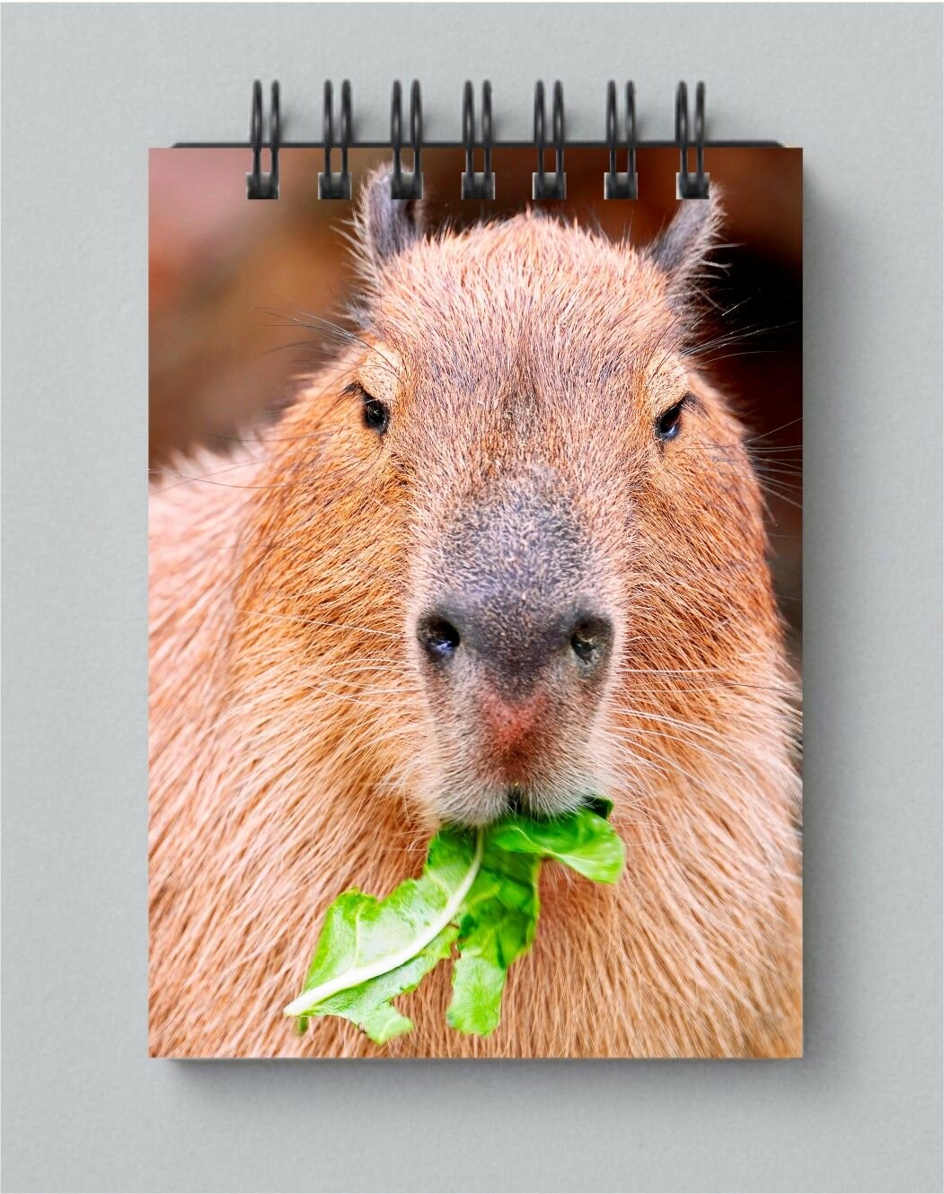 Блокнот MIGOM для записей А3 "Capybara v2, Капибара" - v0009
