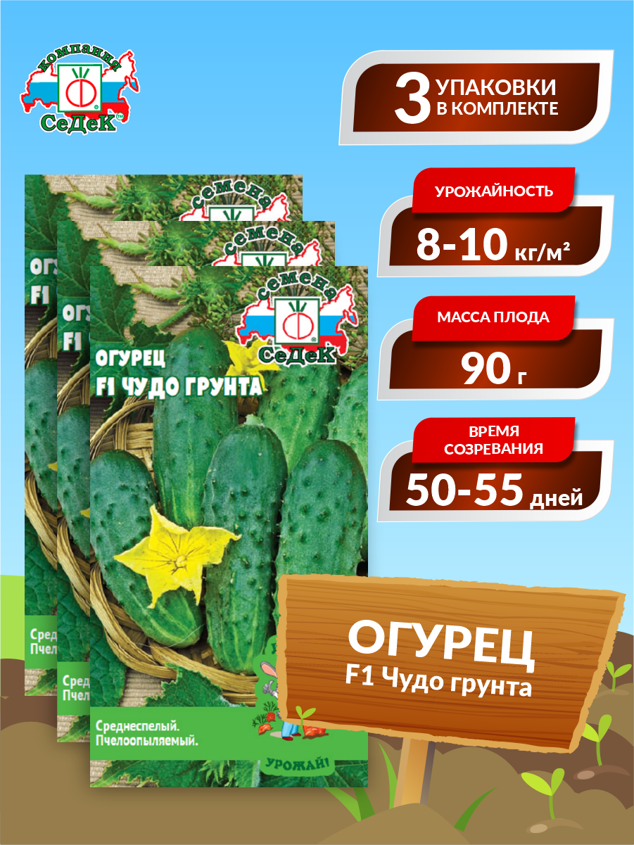 Семена Огурец Чудо Грунта F1 Среднеспелые 0,2 гр. х 3 уп.