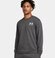 Свитшот Under Armour Rival, размер L, , темно-серый