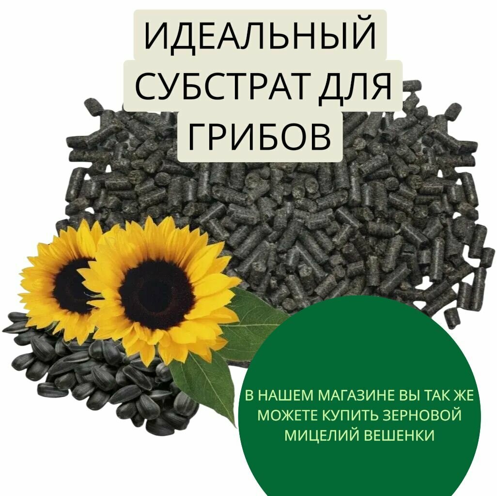 Субстрат для выращивания грибов300 гр