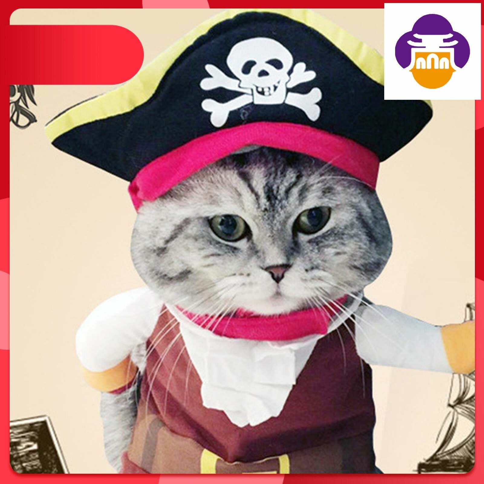 Забавные костюмы пиратов для кошек